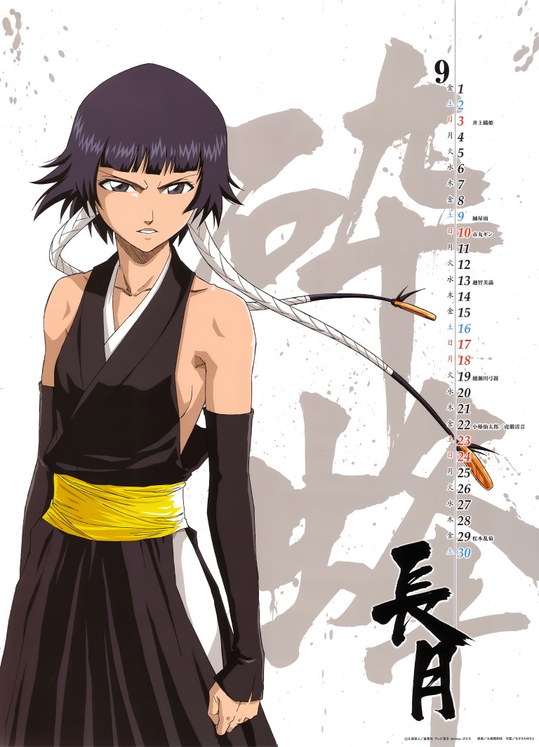 Buy bleach - 31720 | Animeprintz.com